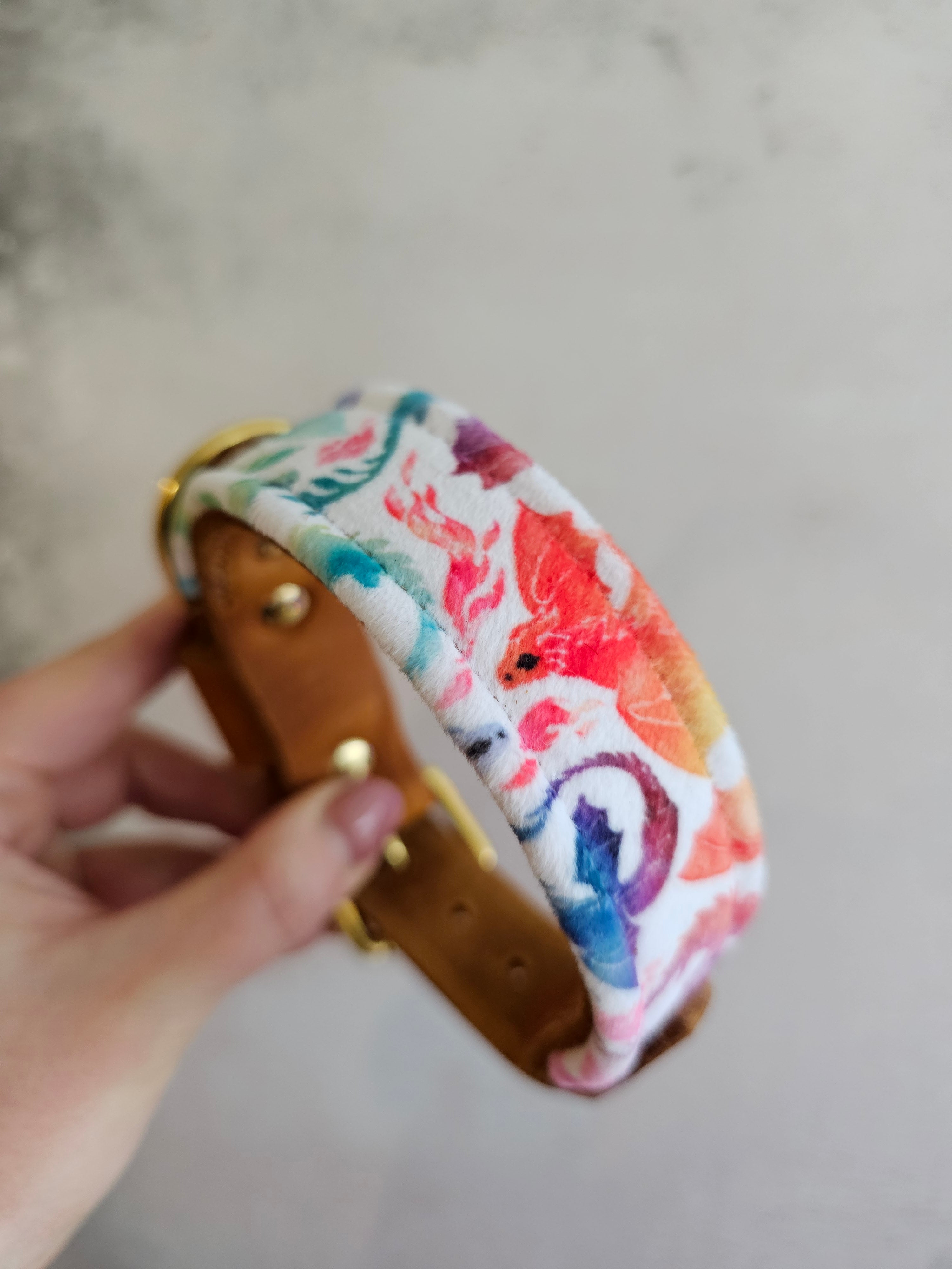 Falcor - Luxury Buckle Collar - Velvet – Bramble and Friends