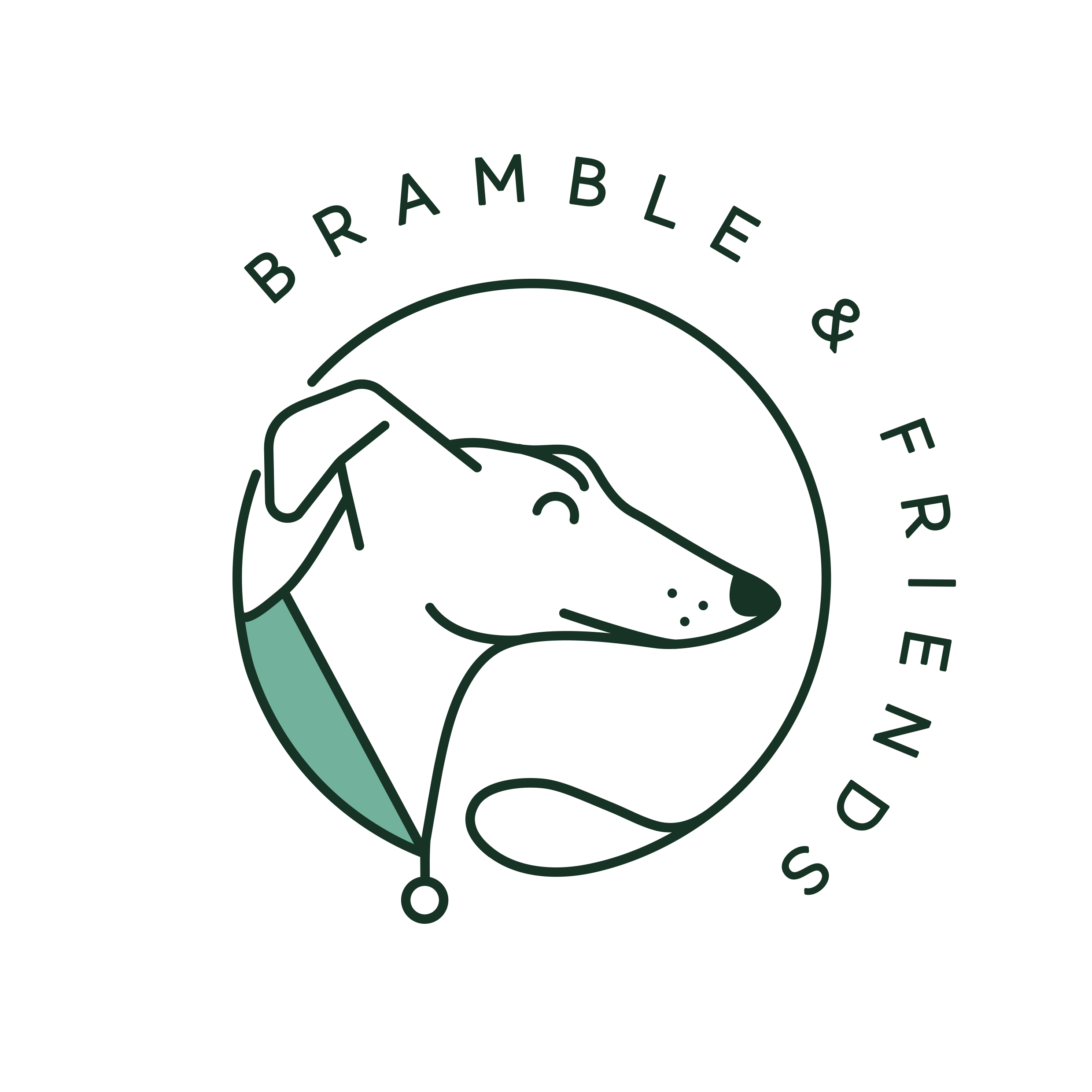 Handmade luxury dog accessories – Bramble and Friends